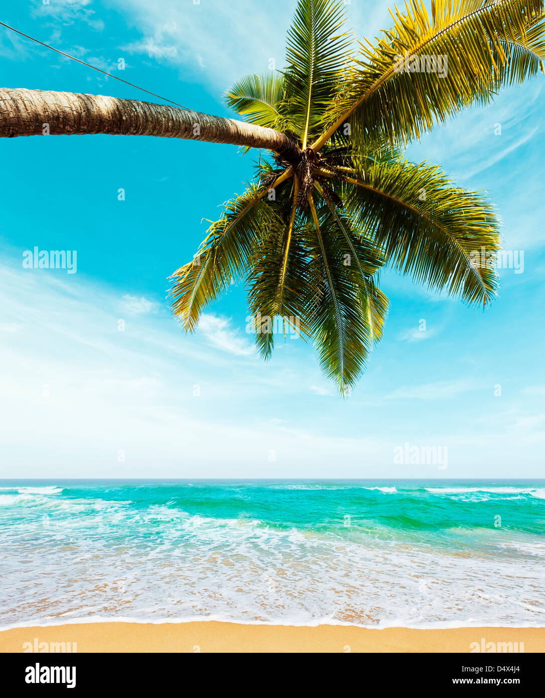 Tropical beach in sunny day Stock Photo - Alamy