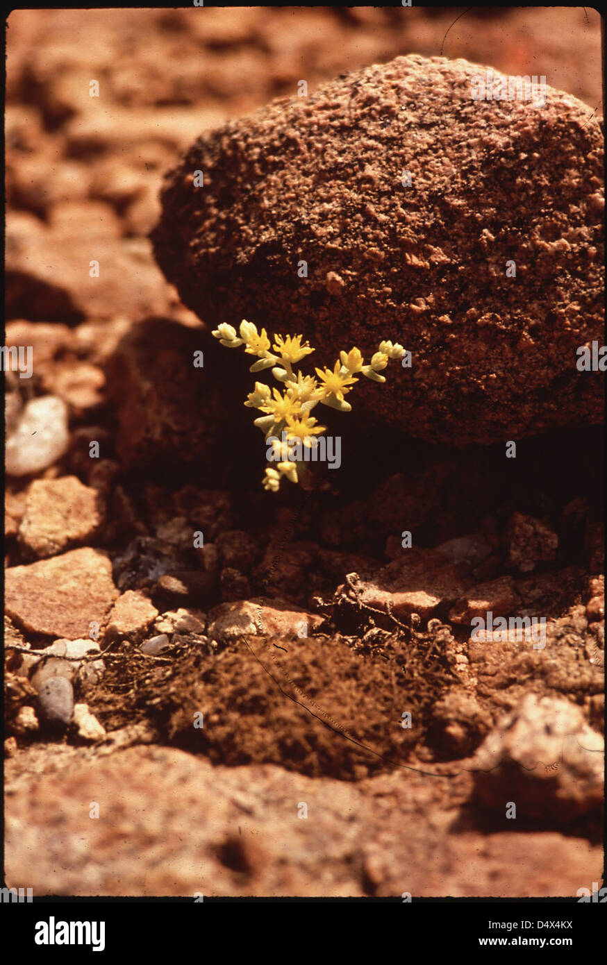 Buchanan lake hi-res stock photography and images - Alamy