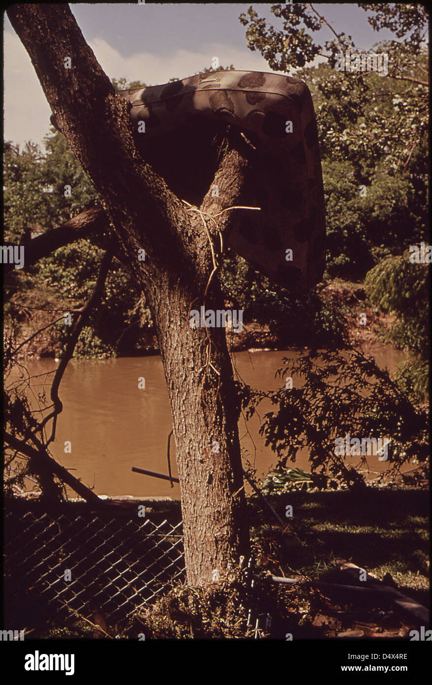 Debris flood tree hi-res stock photography and images - Alamy