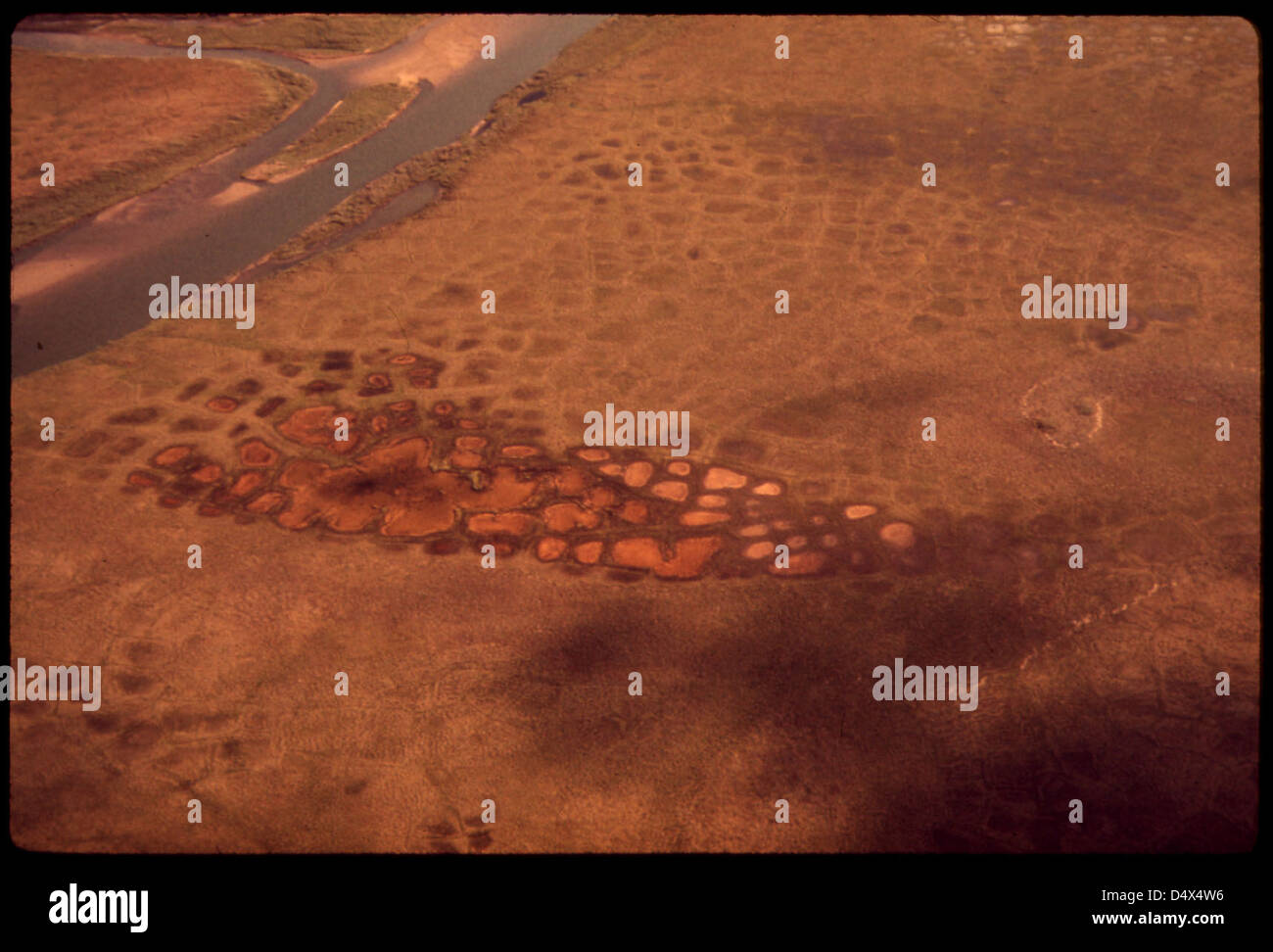 This 1973 image of Arctic tundra shows the distinctive ice polygons in ...