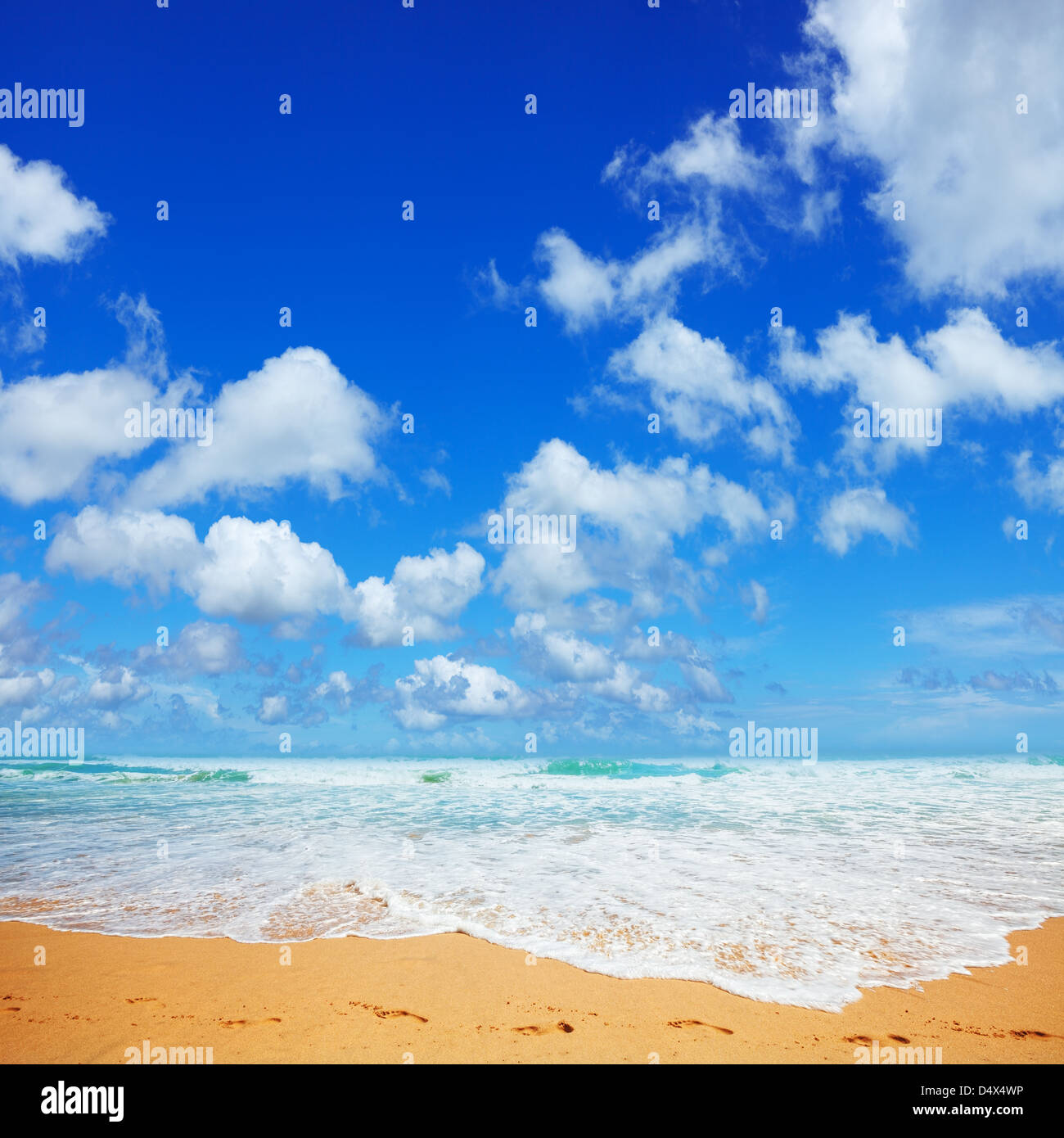 Spectacular tropical beach Stock Photo - Alamy