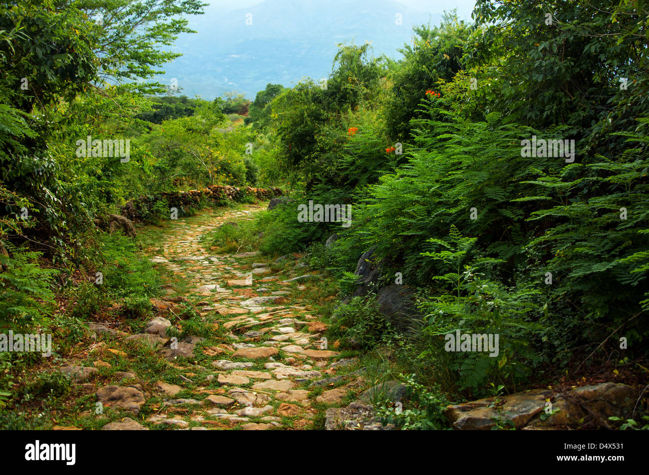 A stone path winding through the wilderness Stock Photo - Alamy