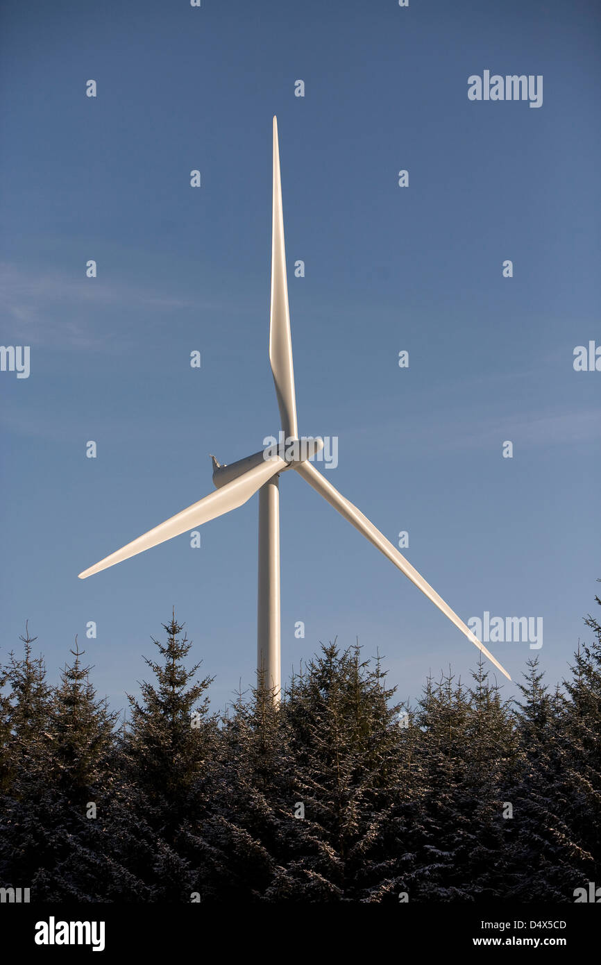 A view of ScottishPower's Whitelee wind farm, East Renfrewshire Stock ...