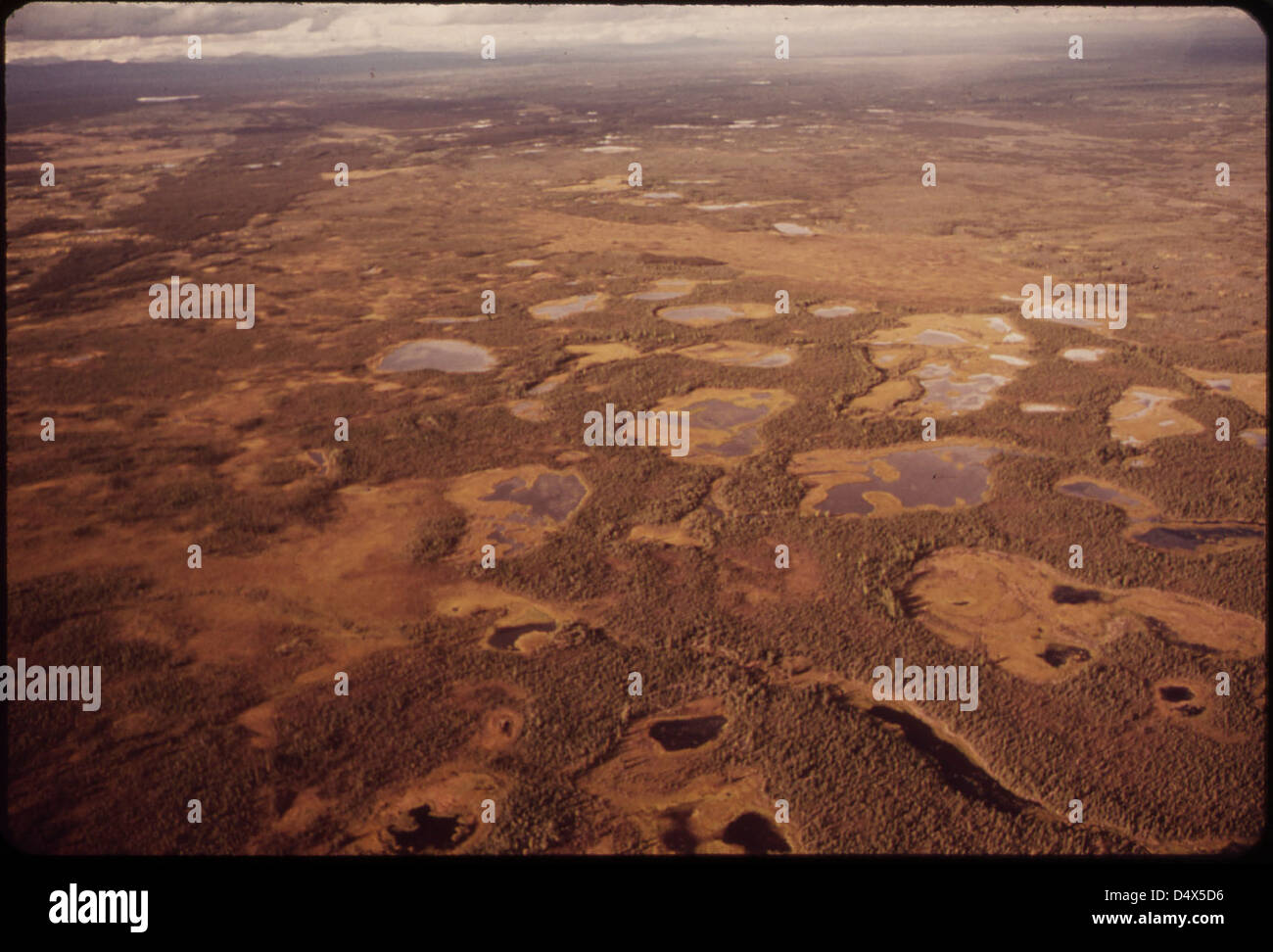 Swampy ground hi-res stock photography and images - Alamy