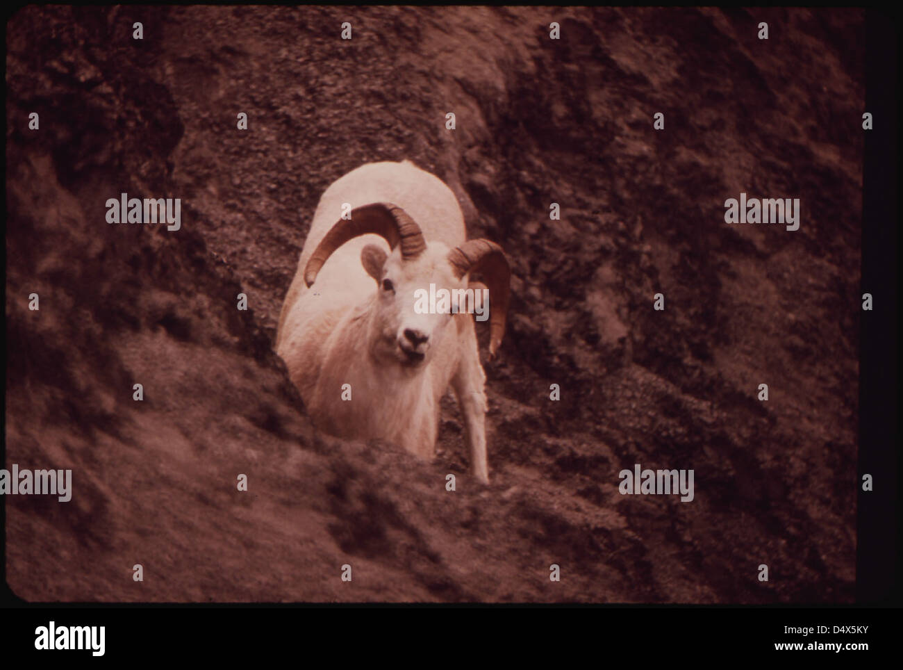 Atigun river hi-res stock photography and images - Alamy