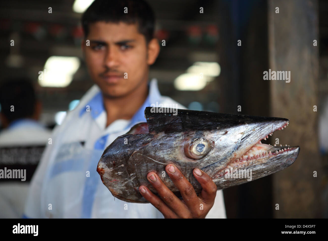 Man with fish head hi-res stock photography and images - Alamy