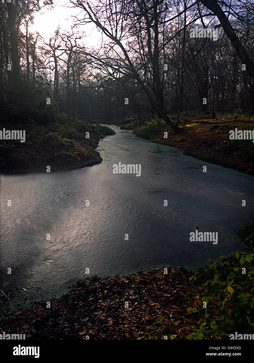 The moat pond hi-res stock photography and images - Alamy