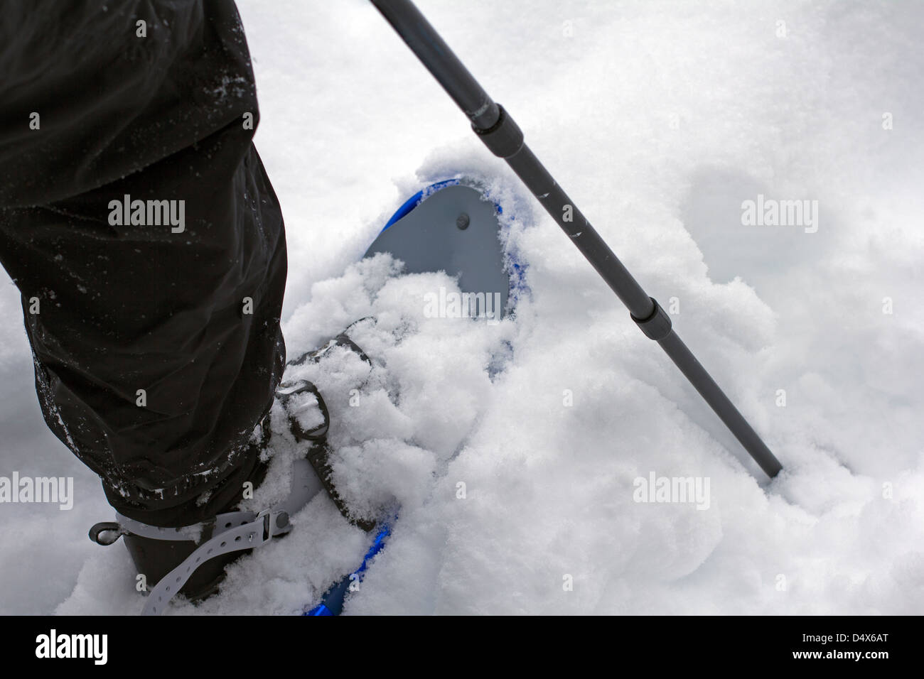 snow shoe closeup Stock Photo - Alamy