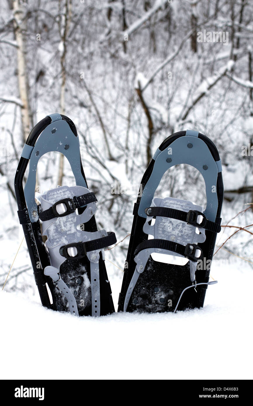 snow shoes in the snow Stock Photo - Alamy