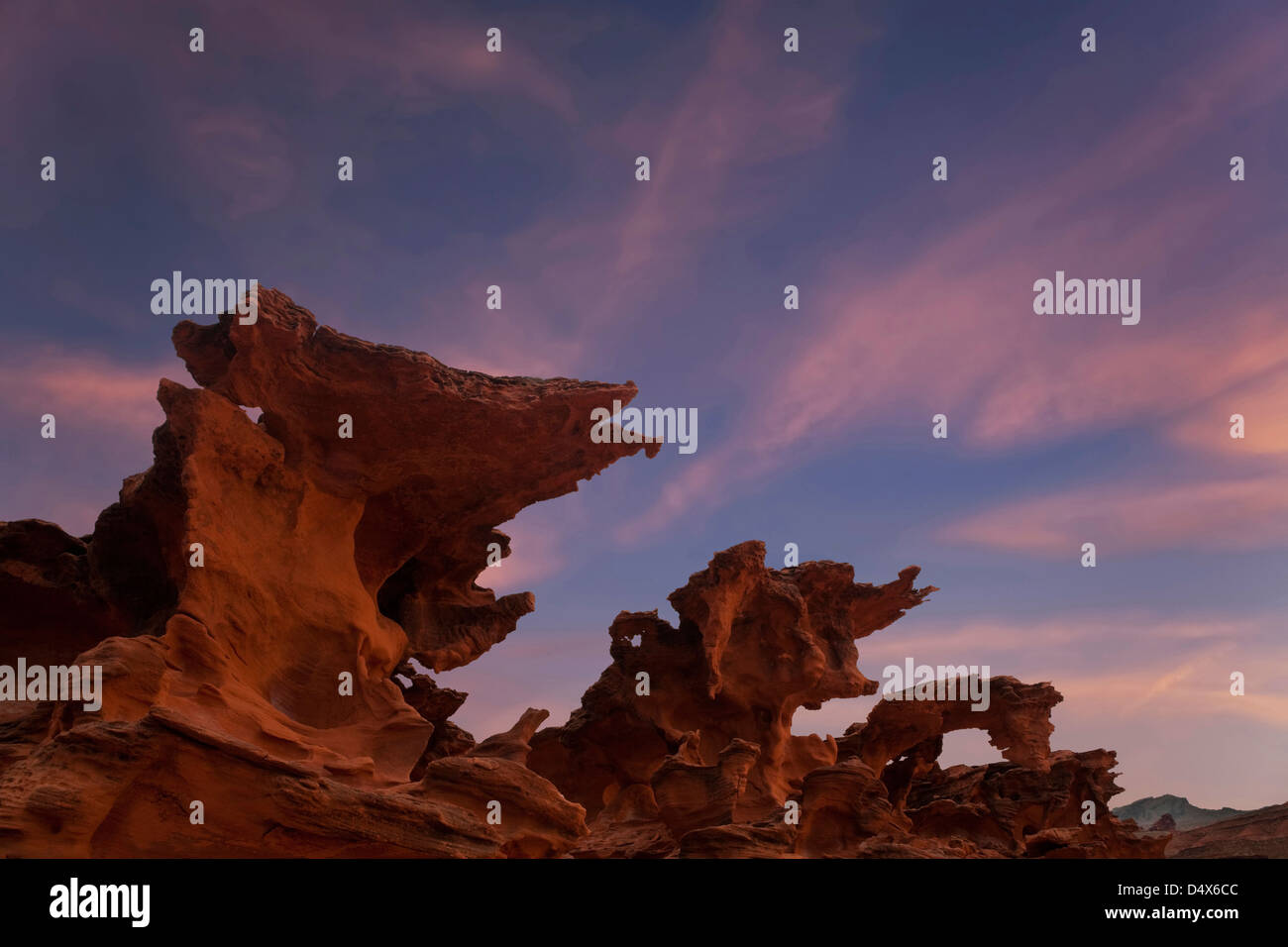 Devils Fire, Strange eroded sandstone rock formations in Nevada Stock ...