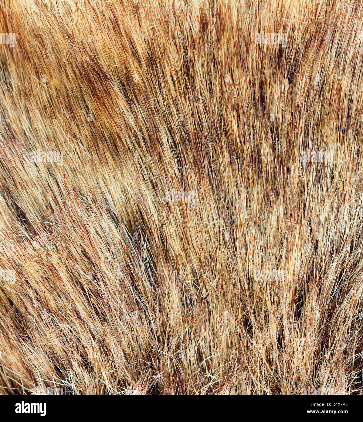 Animal fur design hi-res stock photography and images - Alamy