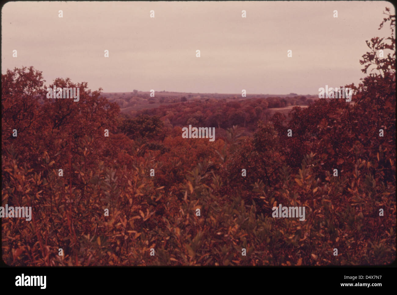Fall Scene near the Missouri River near White Cloud and Troy, Kansas ...