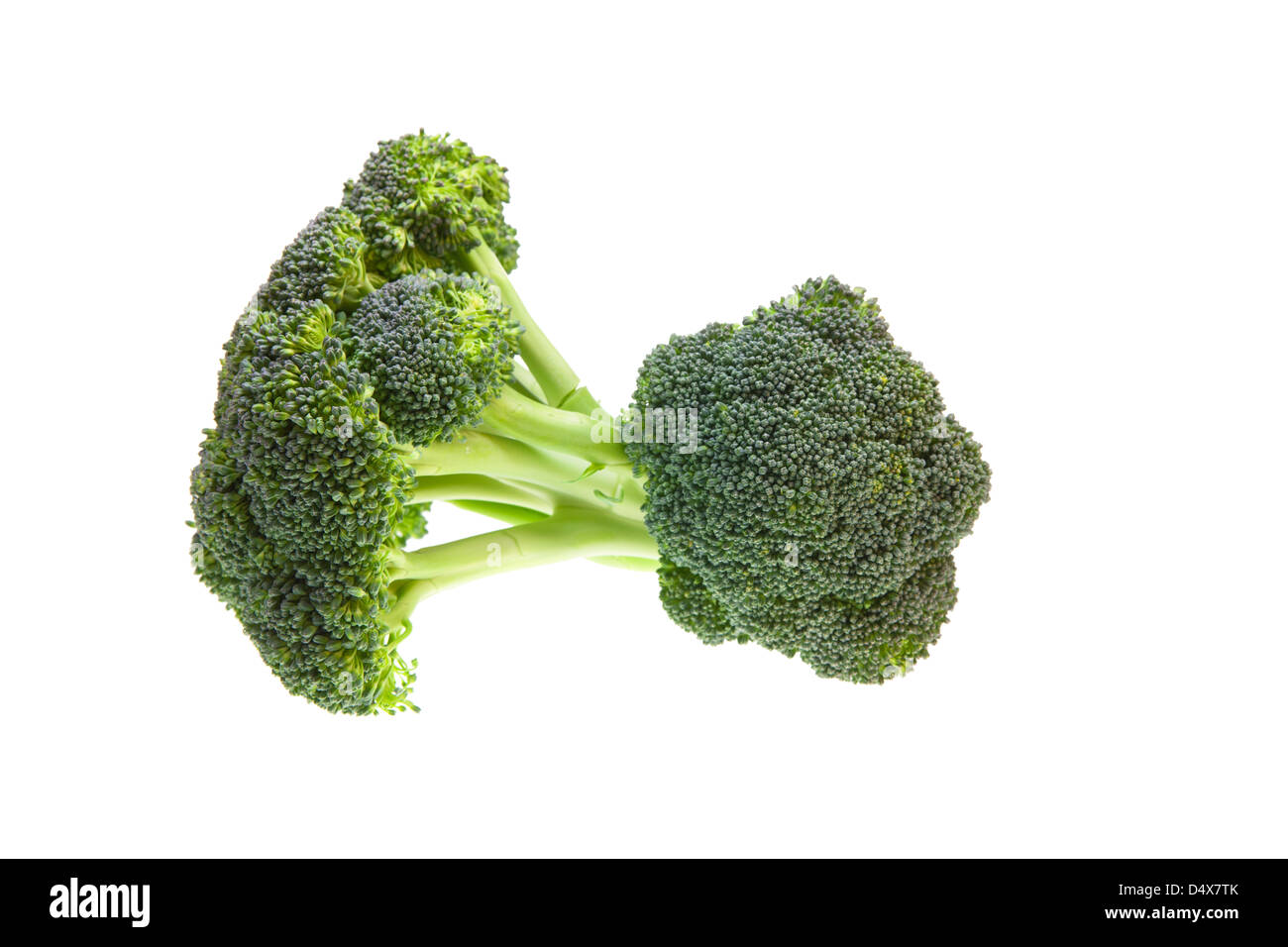 Broccoli stalks Cut Out Stock Images & Pictures - Alamy
