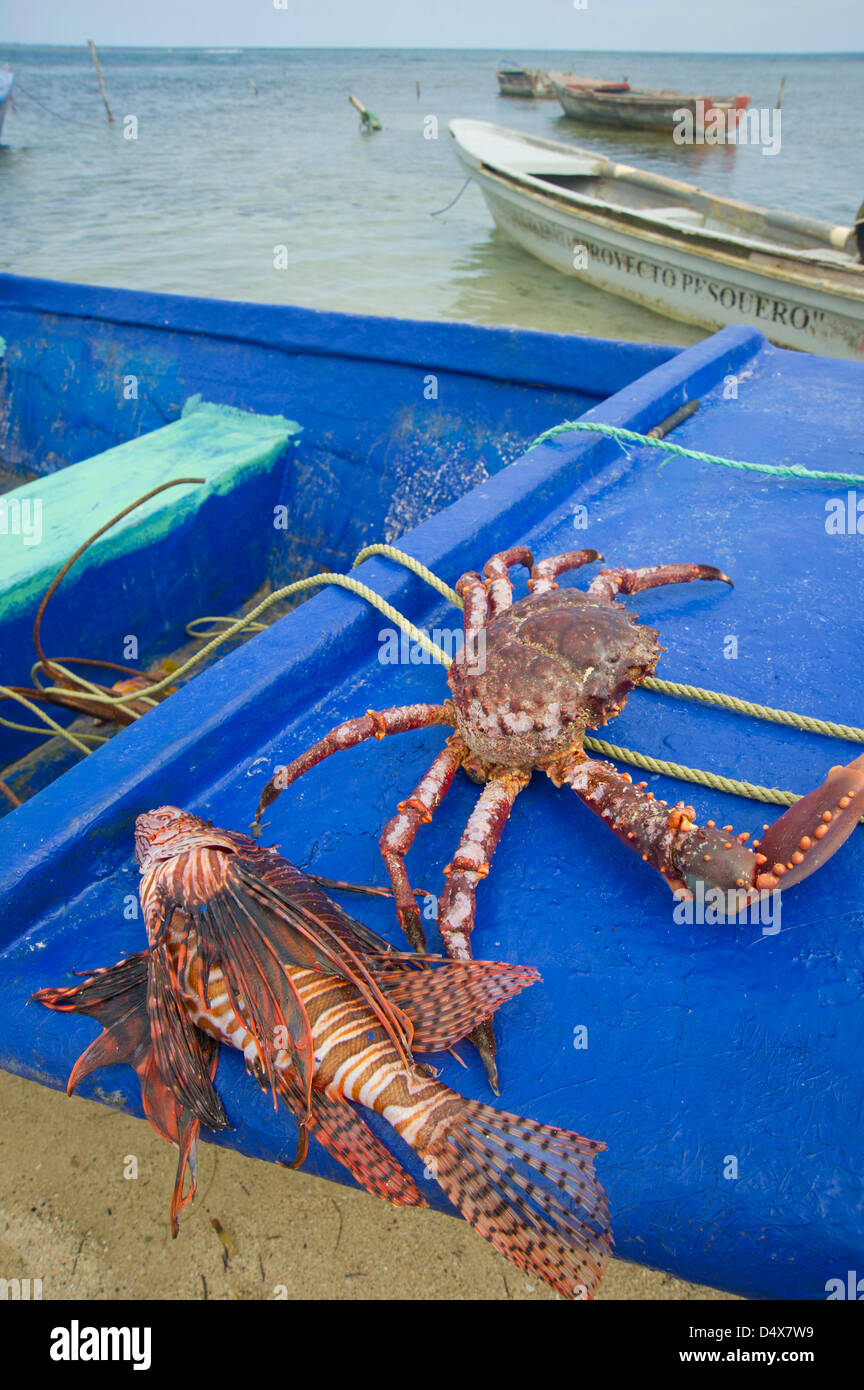 March 8, 2013 - Buen Hombre, Dominican Republic - March 8, 2013, Buen ...