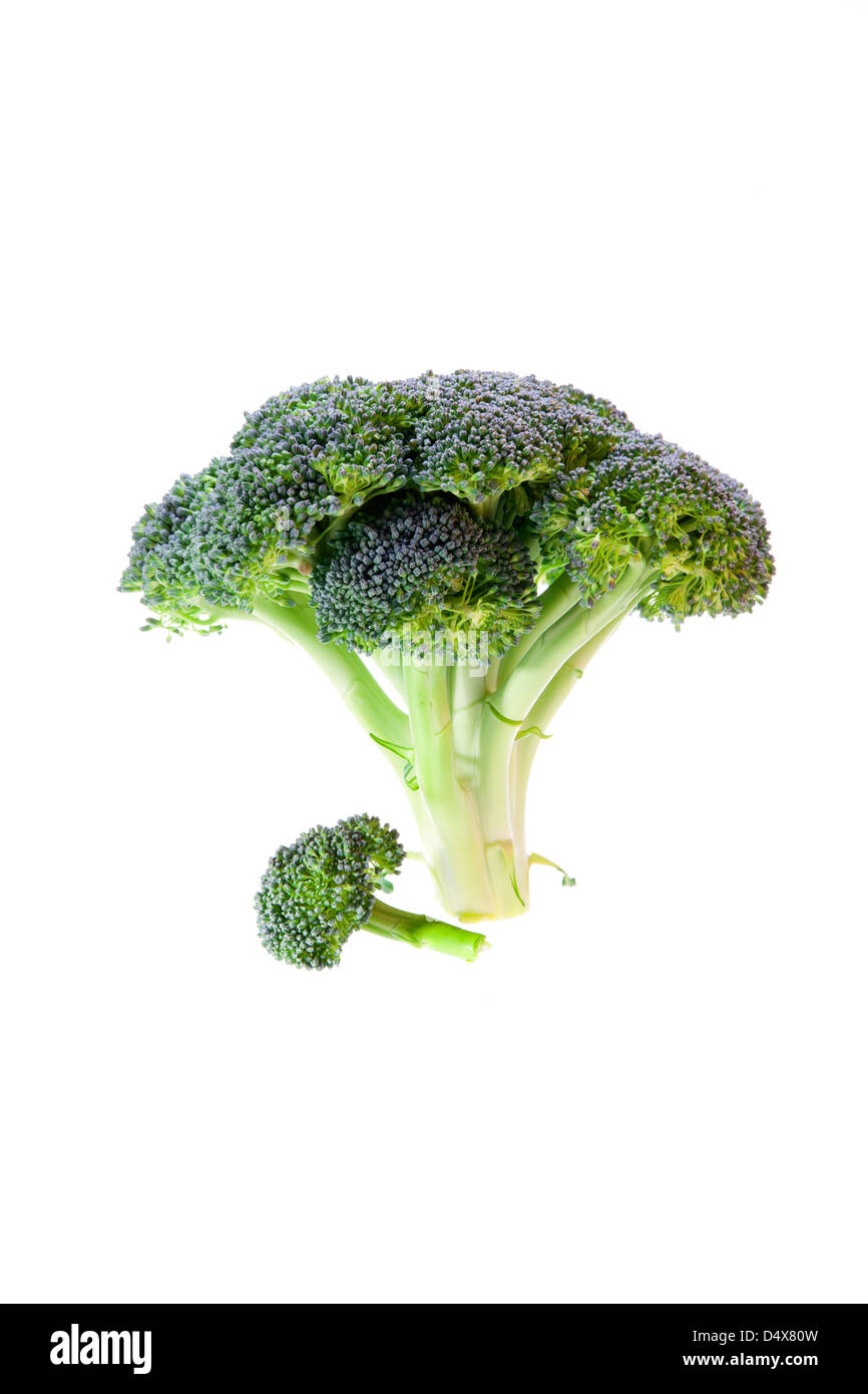 Stalk of broccoli Stock Photo - Alamy