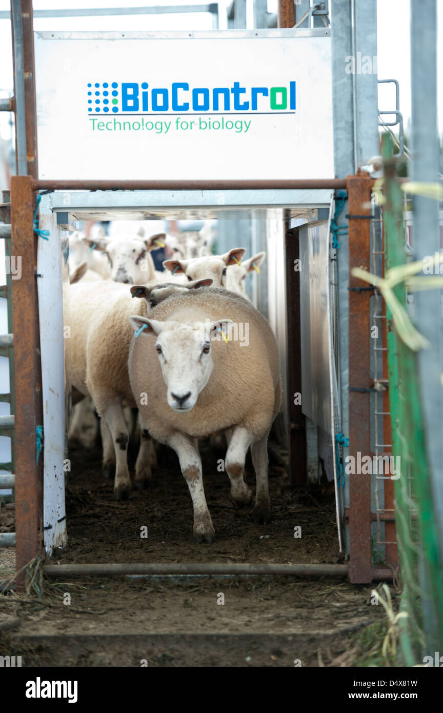 Automatic identification hi-res stock photography and images - Alamy