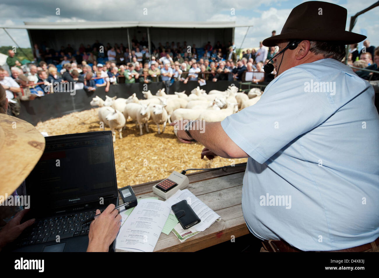 Auctioneer hi-res stock photography and images - Alamy