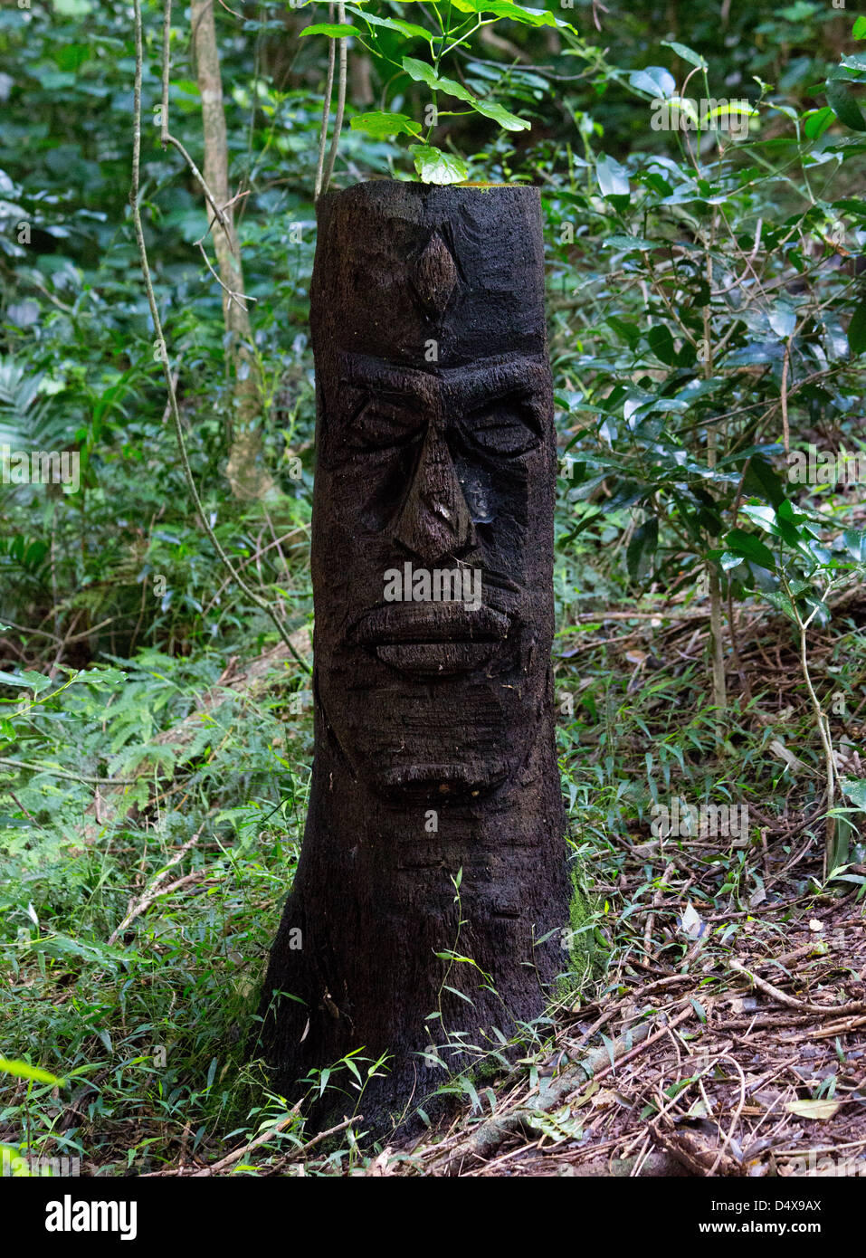 Carving tree face sculpture hi-res stock photography and images - Alamy