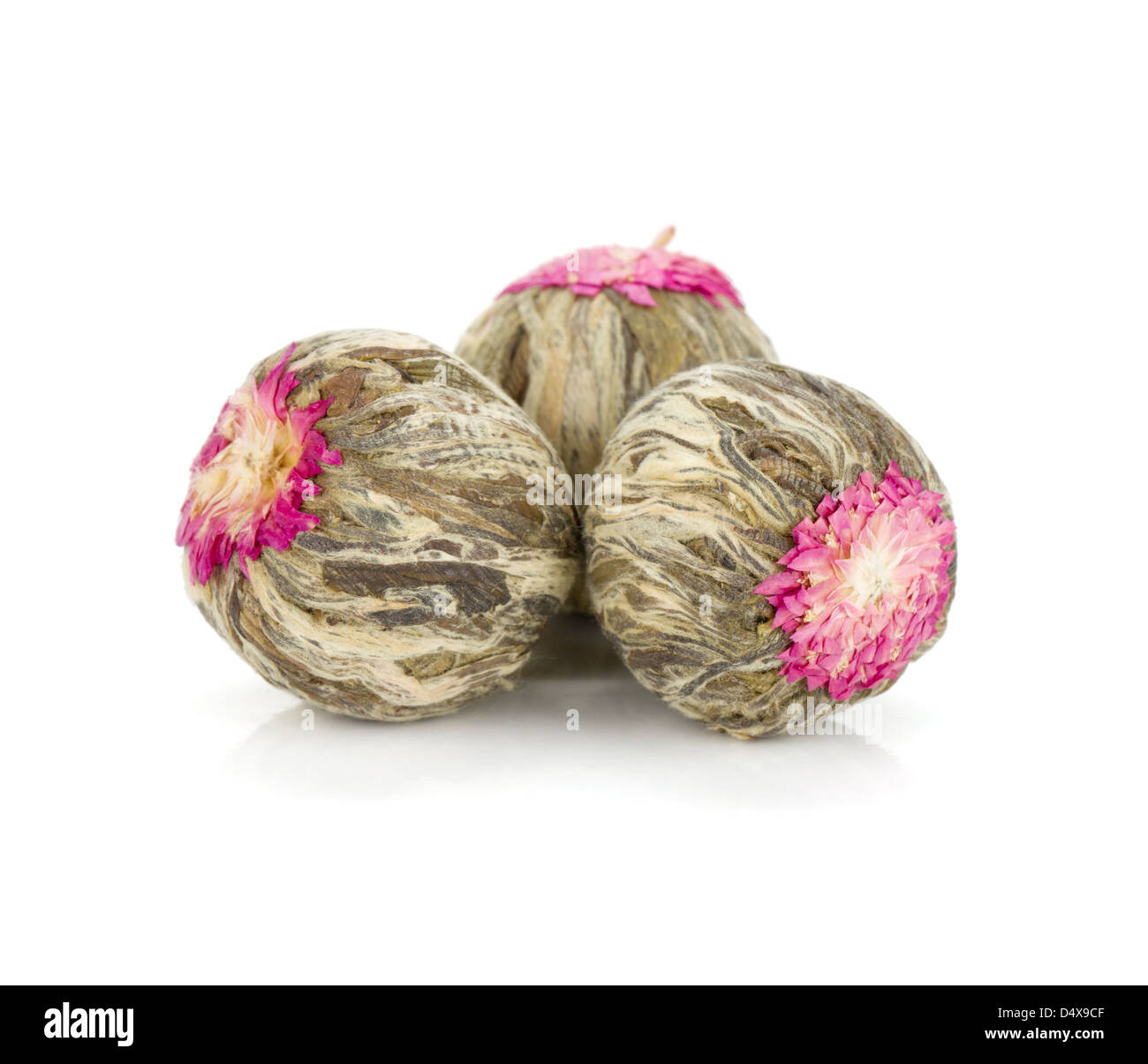 Green tea flowers. Isolated on white background Stock Photo - Alamy