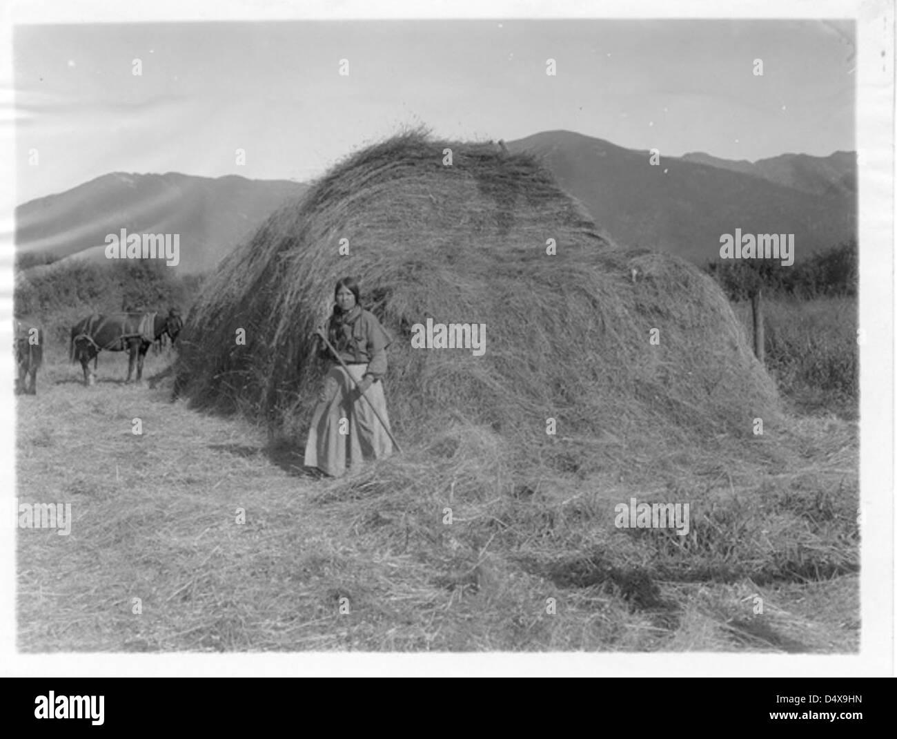 Indian farming usa history hi-res stock photography and images - Alamy