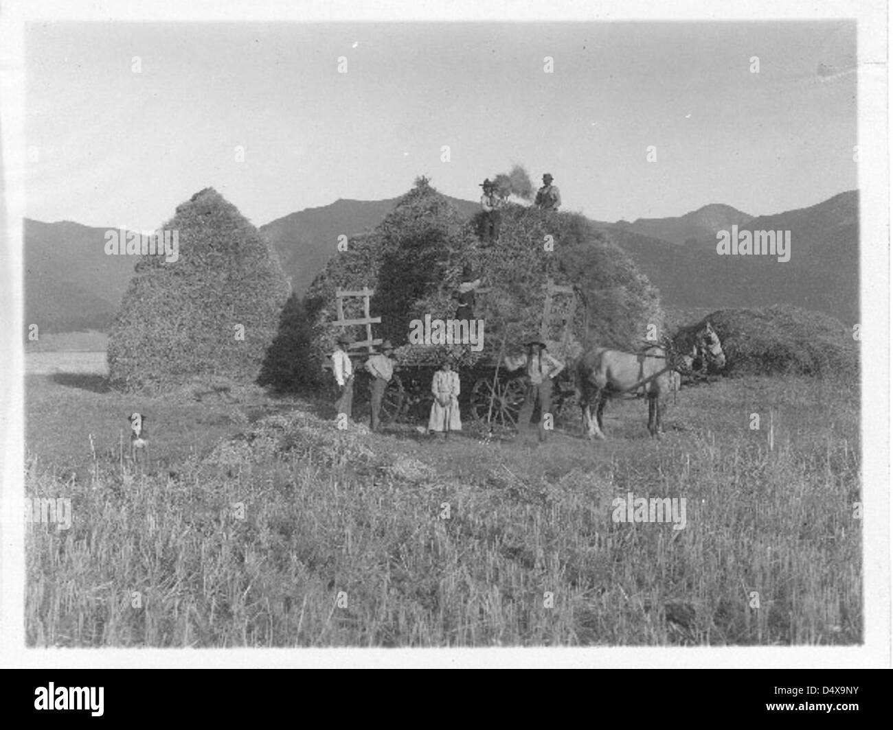 This image shows Native American workers on the Flathead Reservation in ...