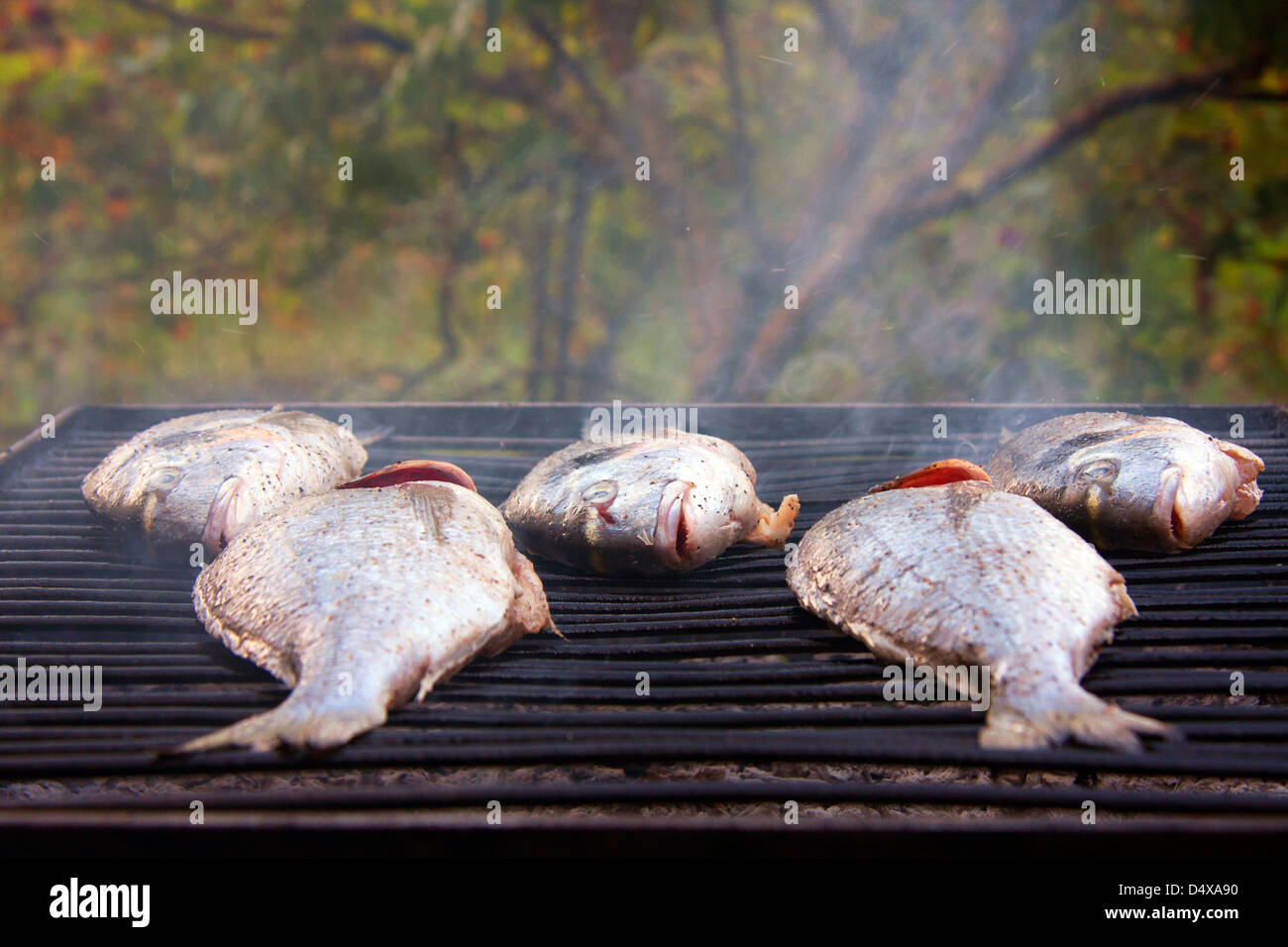 Grilling fish hi-res stock photography and images - Alamy