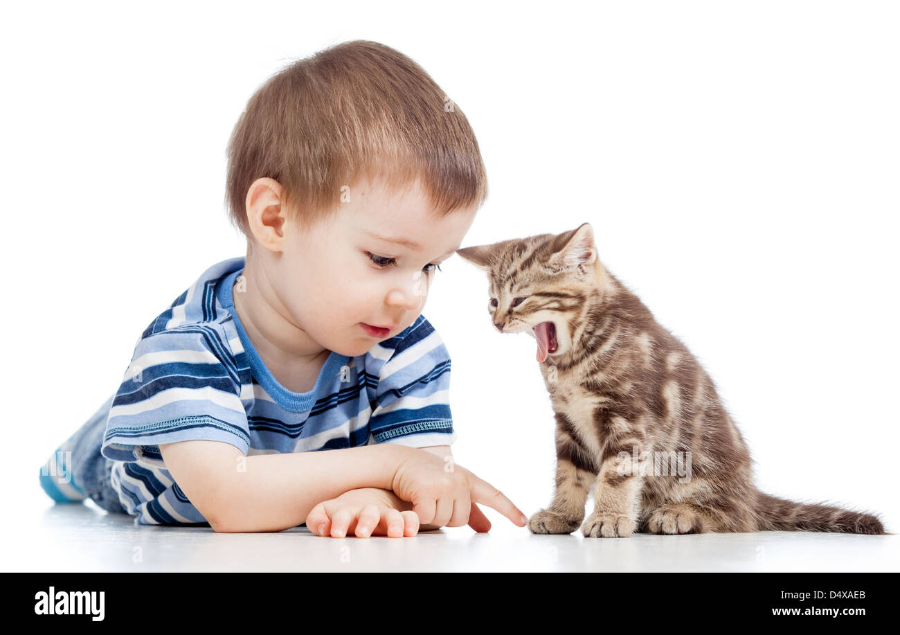Small boy cat hi-res stock photography and images - Alamy