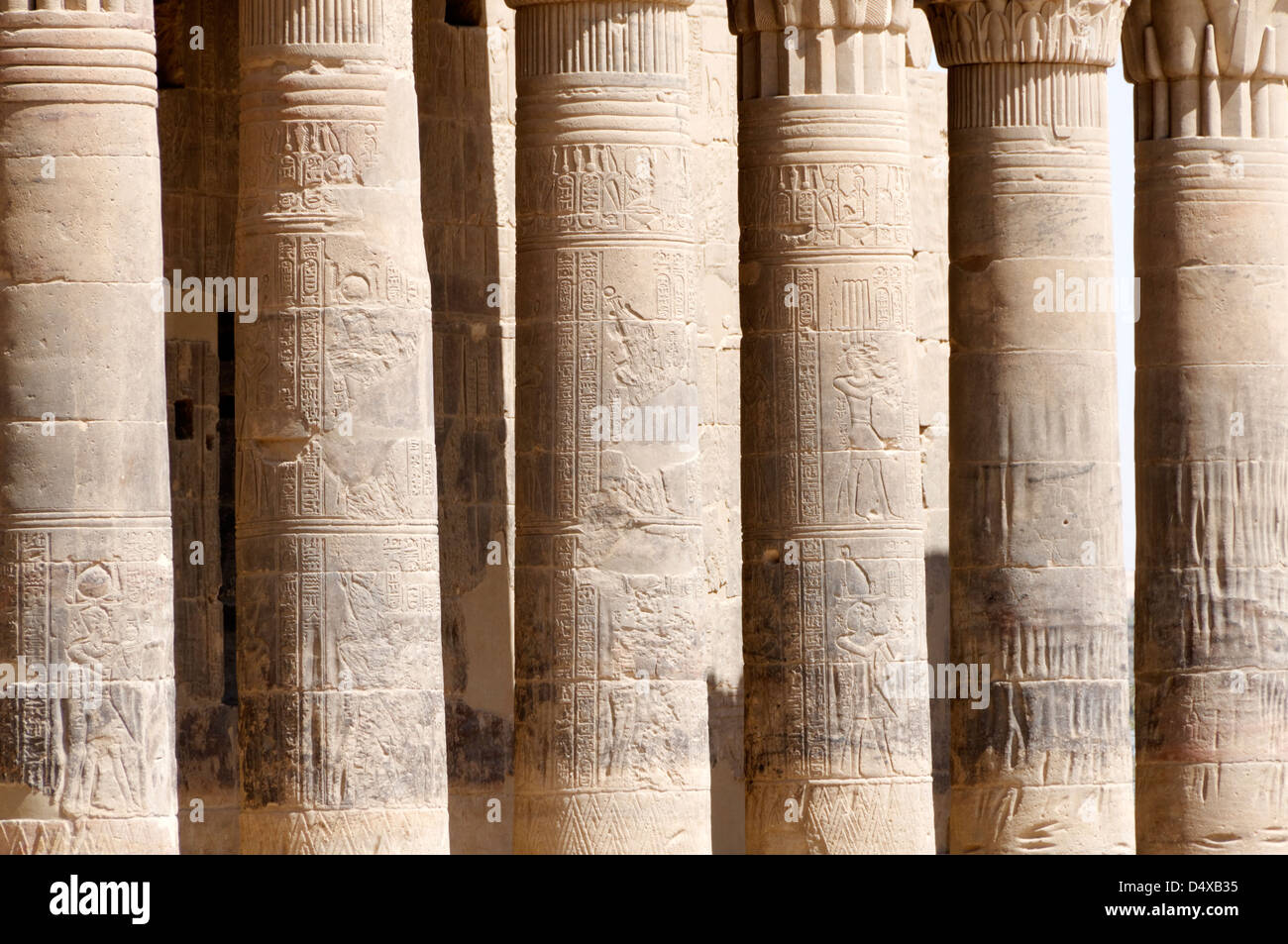 Egypt. Columns on the west colonnade of the outer courtyard that leads ...