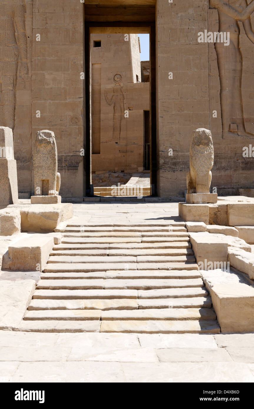 Lions in ancient egypt hi-res stock photography and images - Alamy