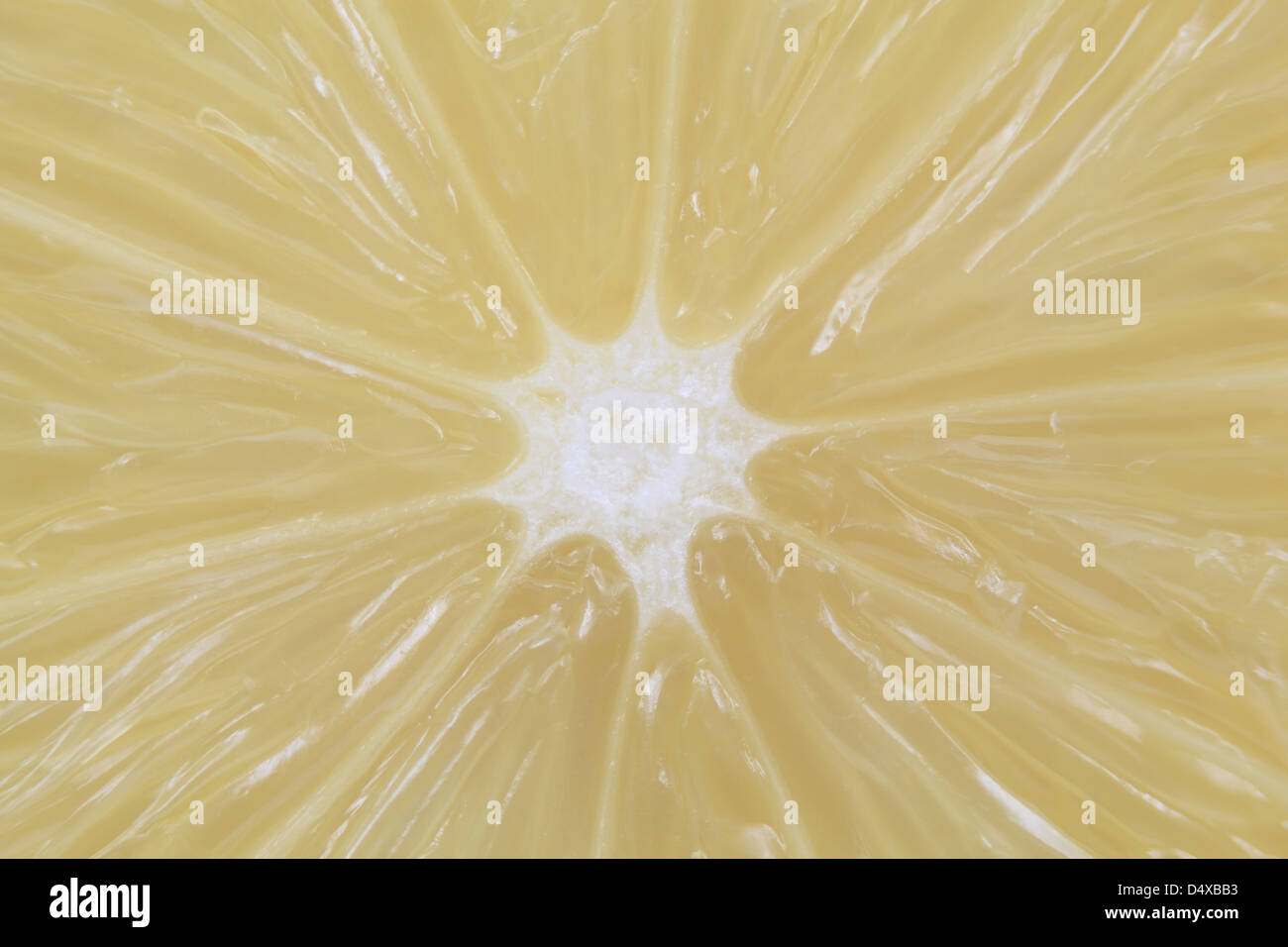 Extreme macro photo of a lemon section Stock Photo - Alamy