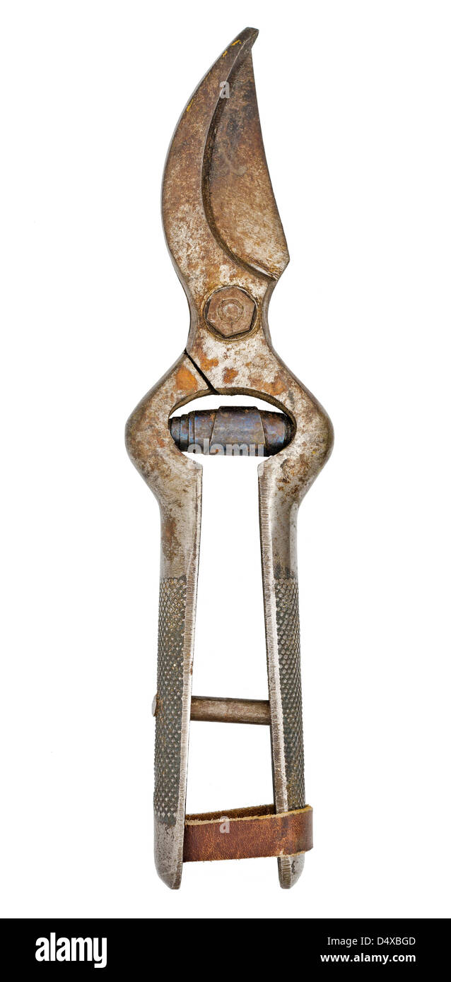 Tin snips hi-res stock photography and images - Alamy