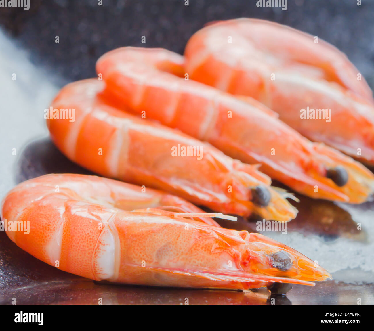 Close up dish shrimp on hi-res stock photography and images - Alamy