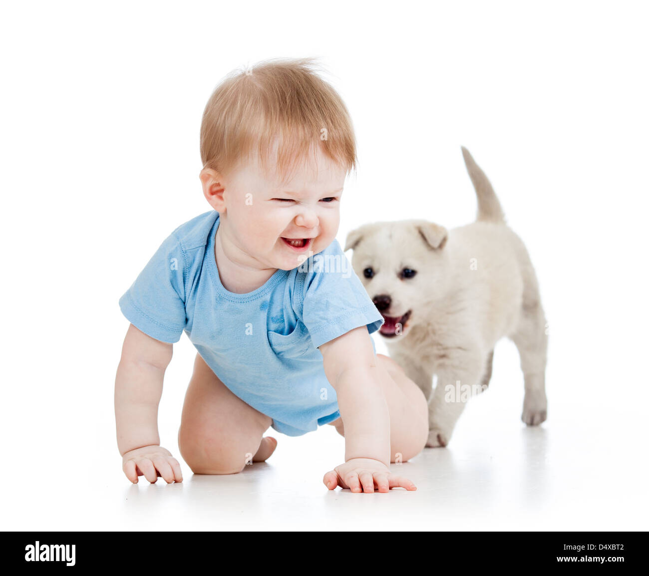 cute child playing and crawling away a puppy, puppy following Stock ...