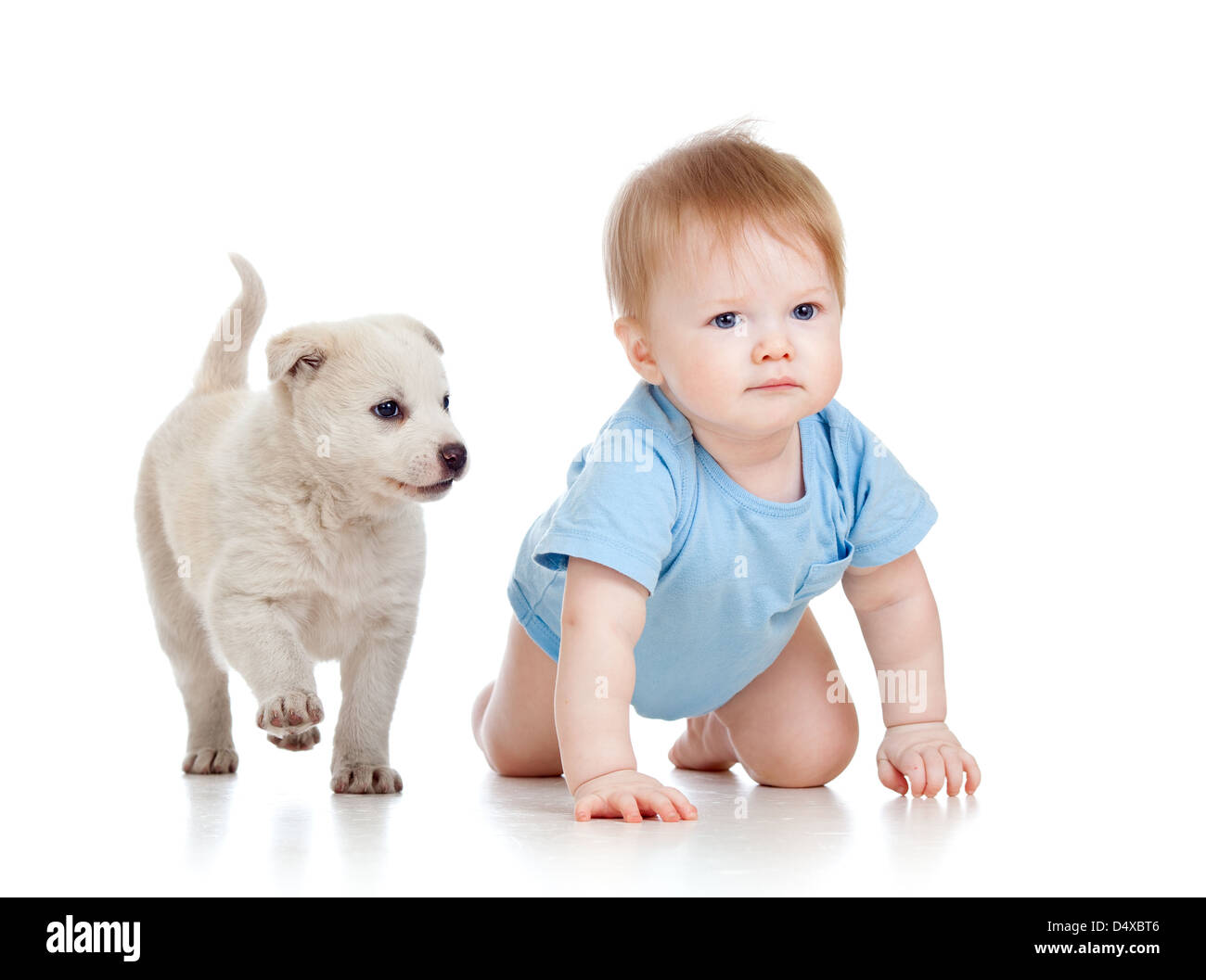 cute child boy and dog puppy playing and crawling Stock Photo - Alamy