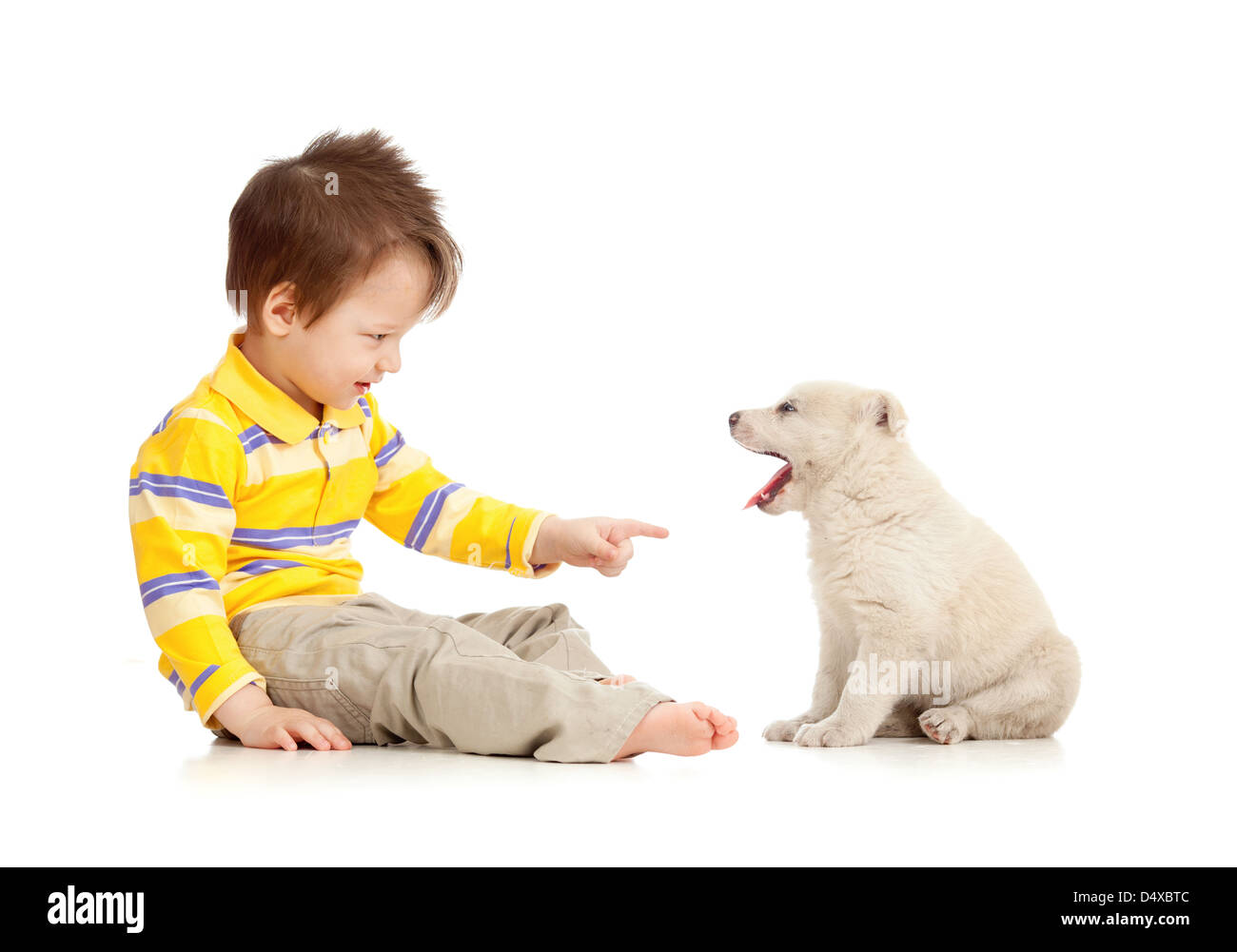 little kid training puppy on white background Stock Photo - Alamy