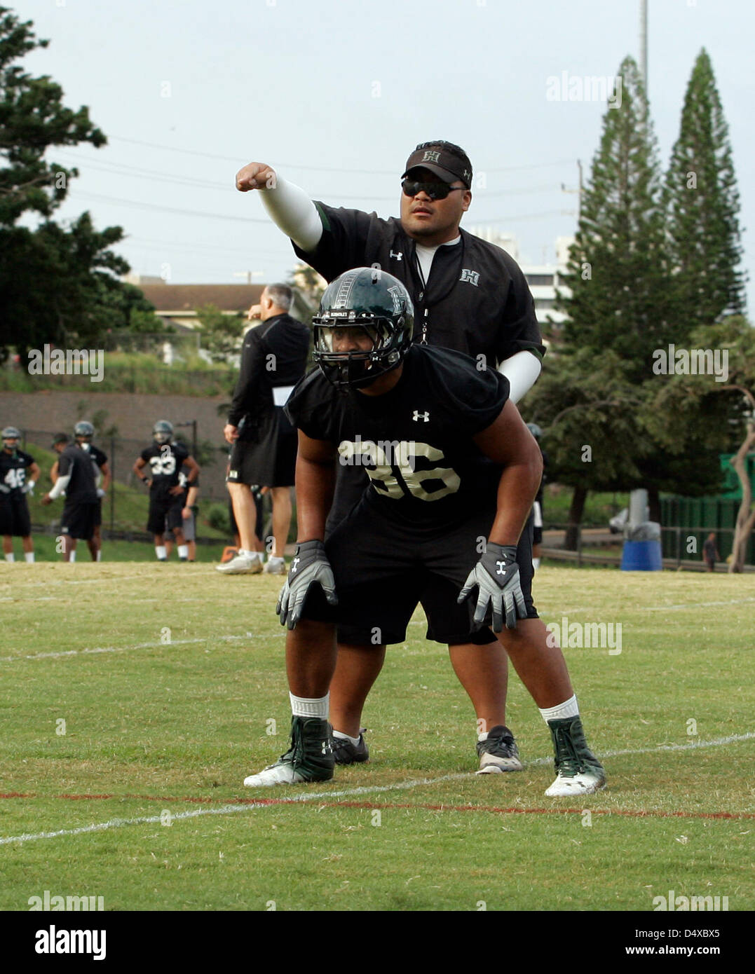 Tuioti hi-res stock photography and images - Alamy