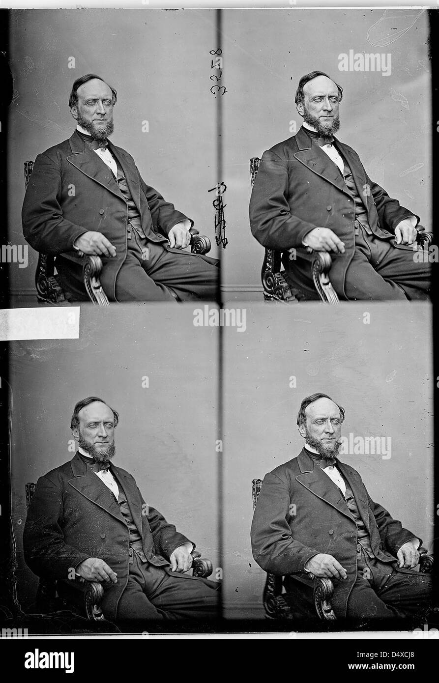Portrait of a gentleman from the Civil War era, captured by Mathew ...
