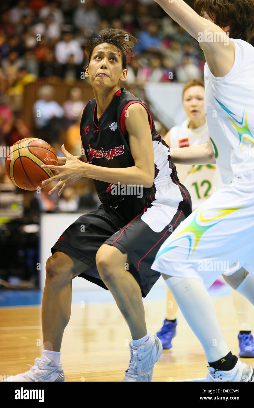 Toyota antelopes hi-res stock photography and images - Alamy