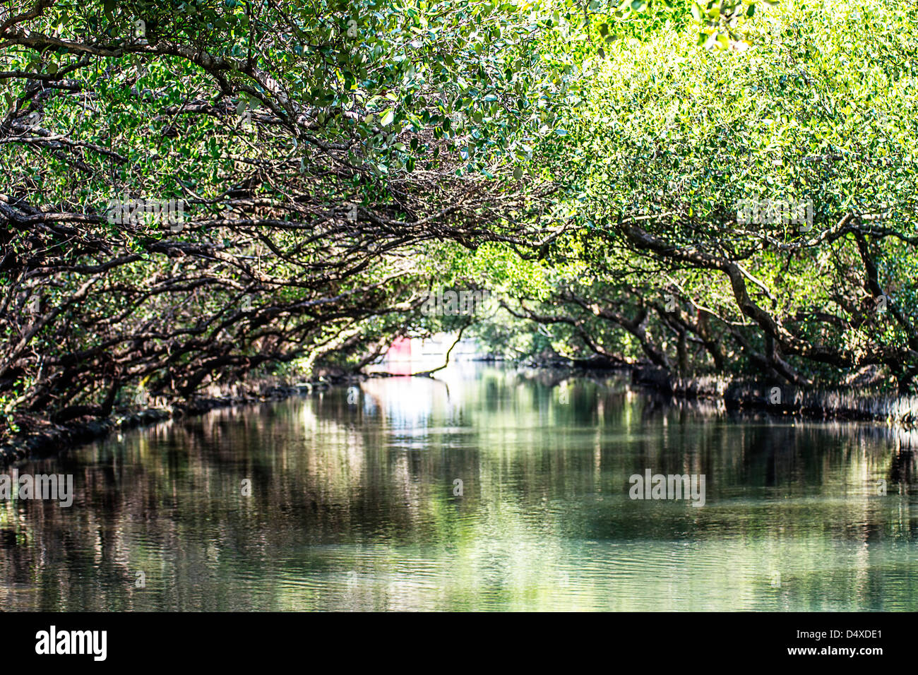 Four grass green tunnel, Tainan, Taiwan Stock Photo - Alamy