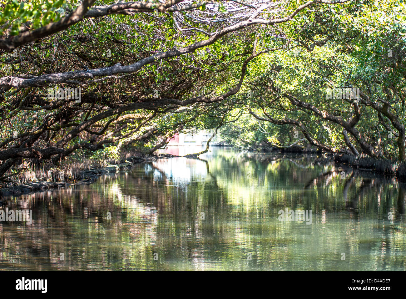 Four grass green tunnel, Tainan, Taiwan Stock Photo - Alamy