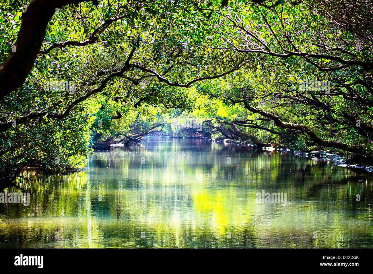 Four grass green tunnel, Tainan, Taiwan Stock Photo - Alamy