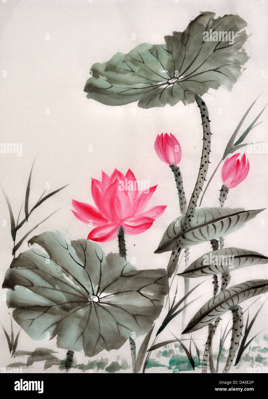 Original art, watercolor painting of lotus, Asian style painting Stock ...