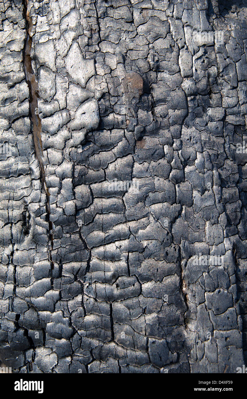 Burnt wood hi-res stock photography and images - Alamy