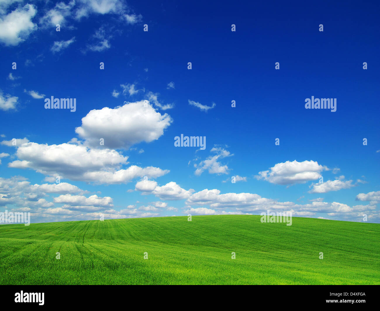 green field and blue sky Stock Photo - Alamy