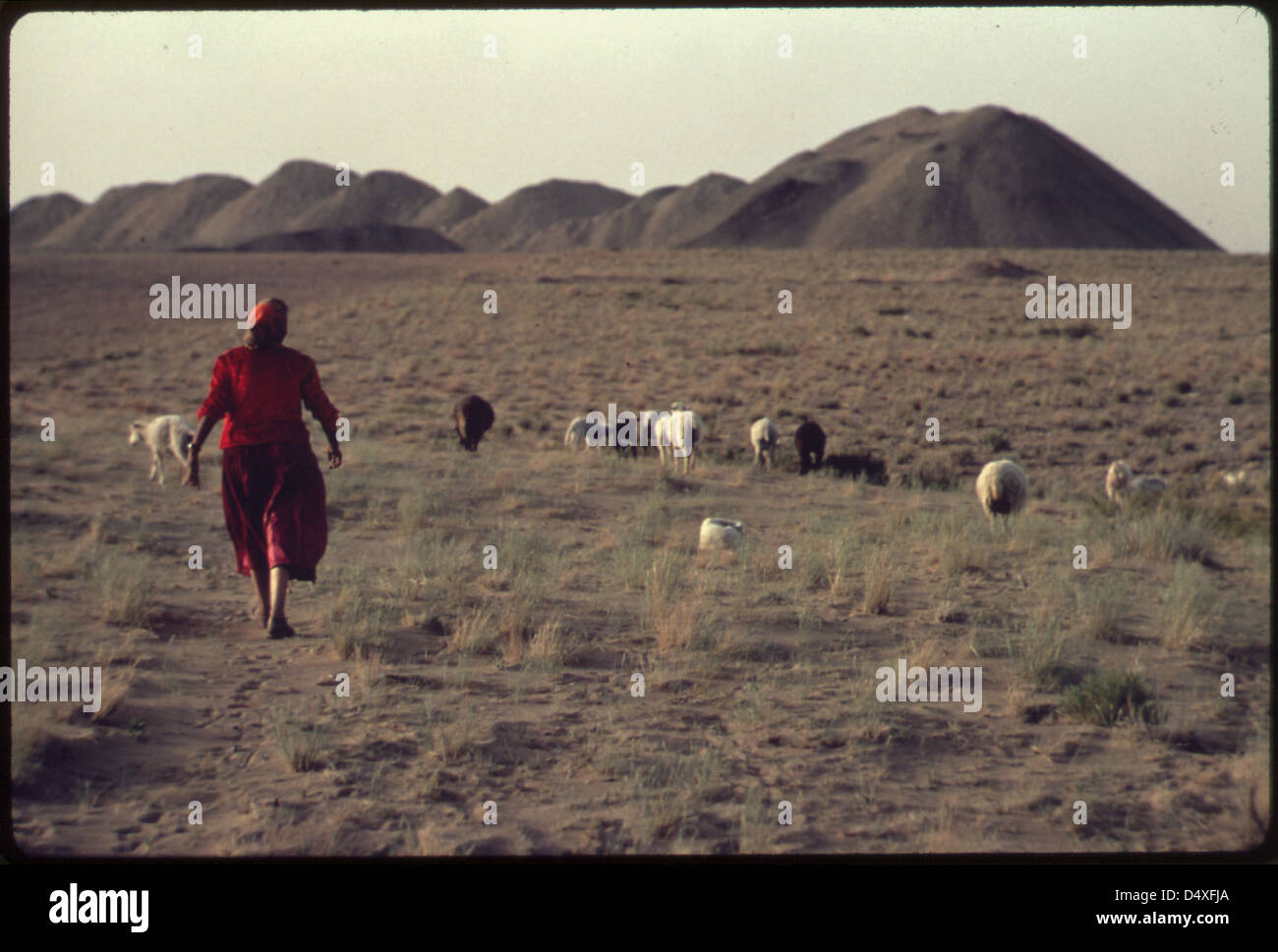 Navajo sheepherder hi-res stock photography and images - Alamy