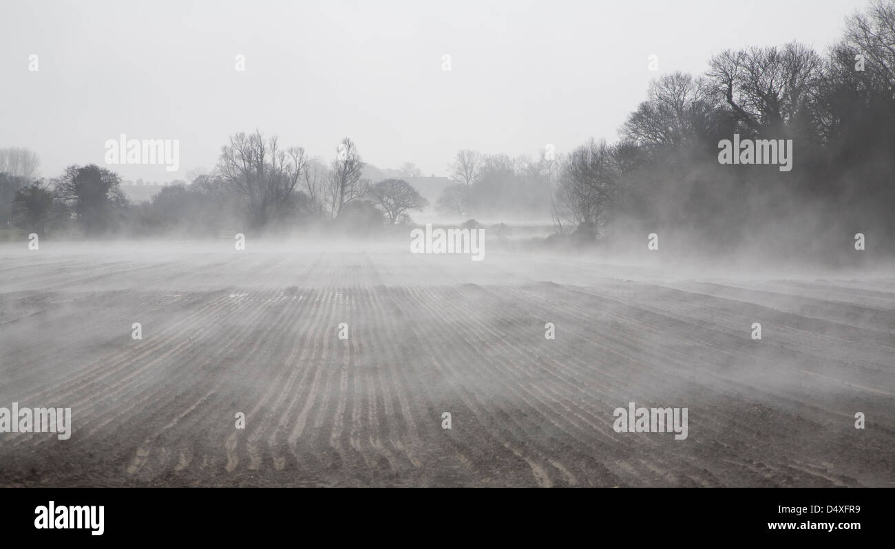 Morning fog clearing from wet fields, Alderton, Suffolk, England Stock ...