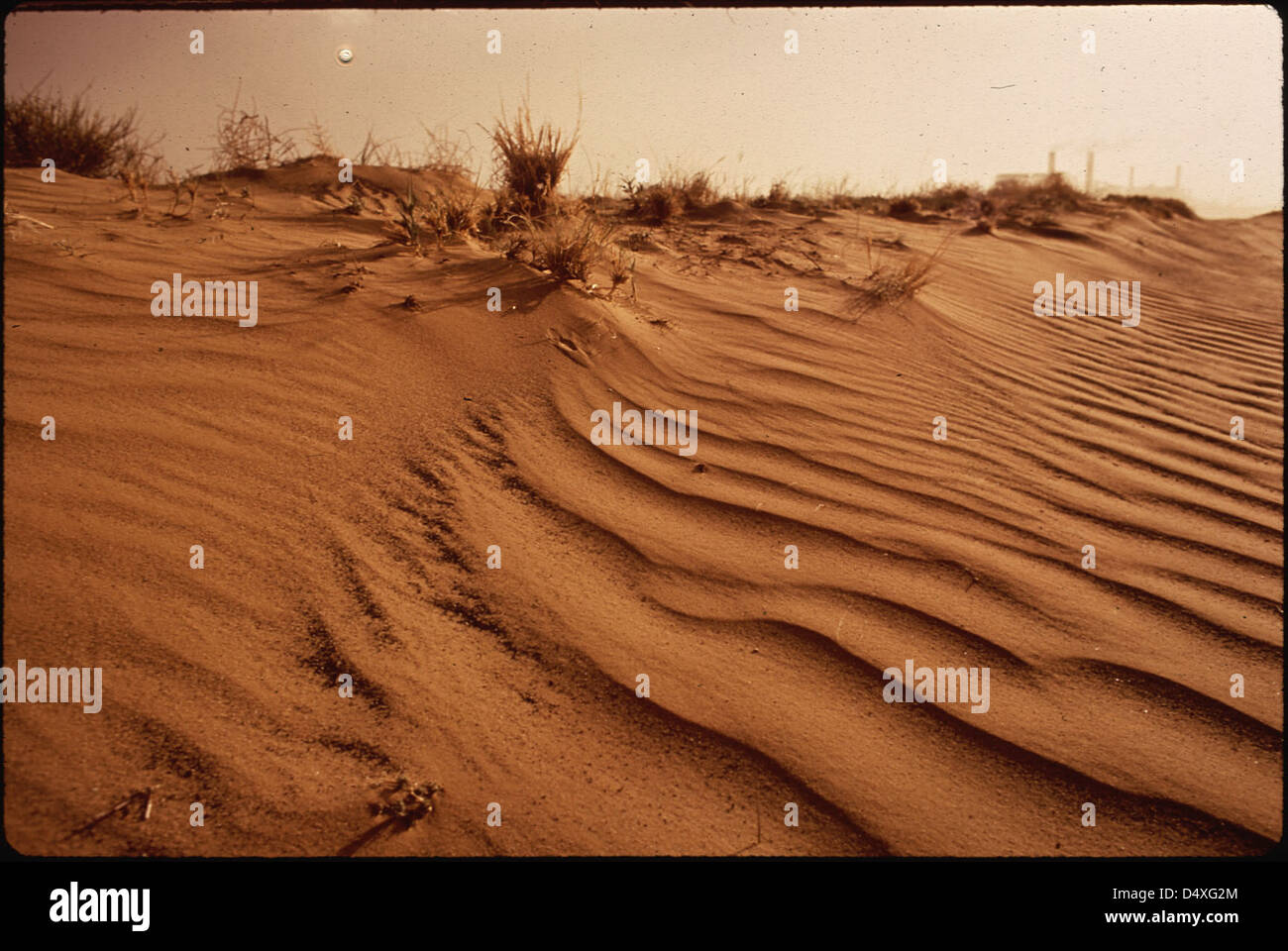 A photo of an empty desert landscape, featuring dunes and shrubs ...