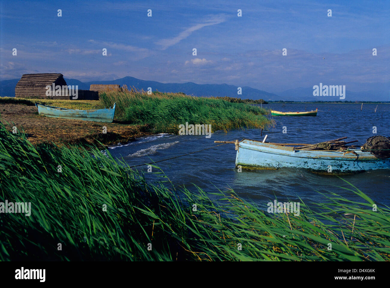 Traditional catalan boat and fishermen huts, Etang de Canet, Eastern ...