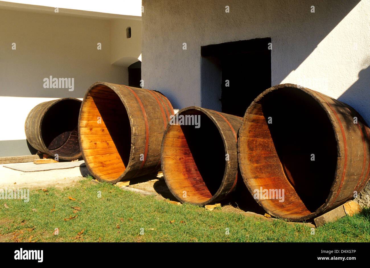 Oak wooden casks used for wine maceration in front of the wine cellars ...