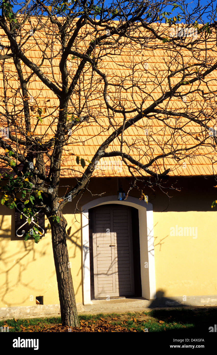 The doorway of wine cellar in Stara Hora settlement, Sebechleby ...